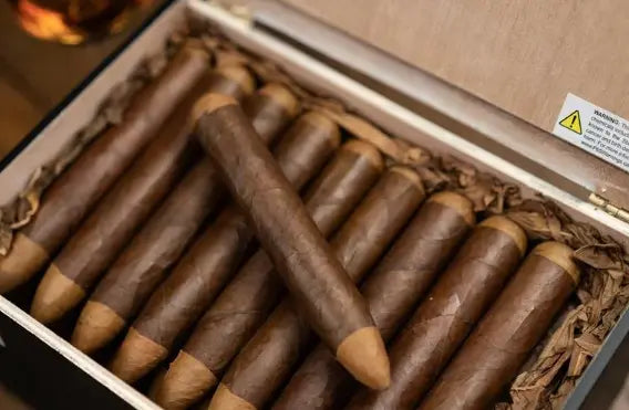 Excellence of Gran Habano Type Mod 60 Persian Kings Cigars - The Cigar ...