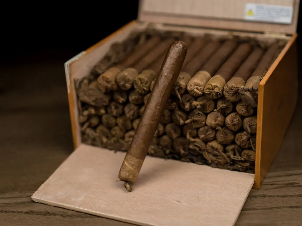 CIGAR BOXES - The Cigar Bank